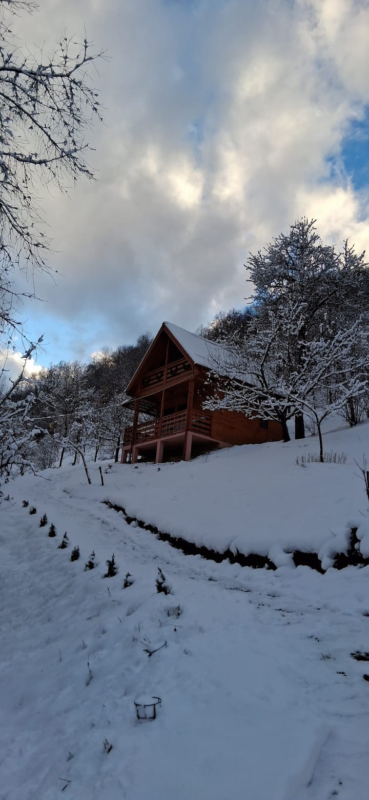 Cabana Ulmului - Vișeu de Sus