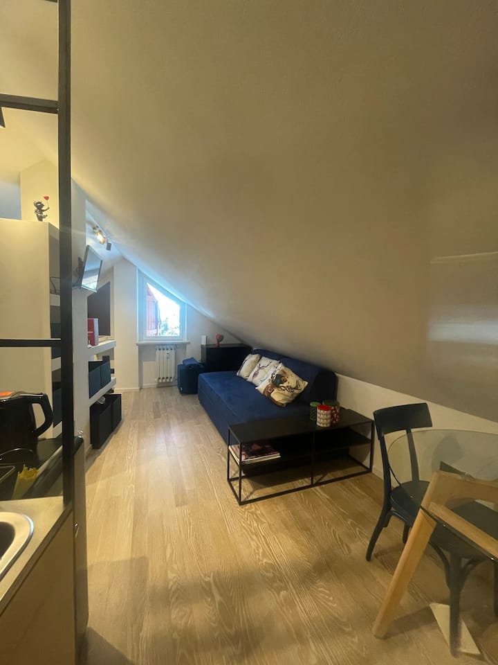 La Didina, Mansarda Tutta Nuova - Limone Piemonte