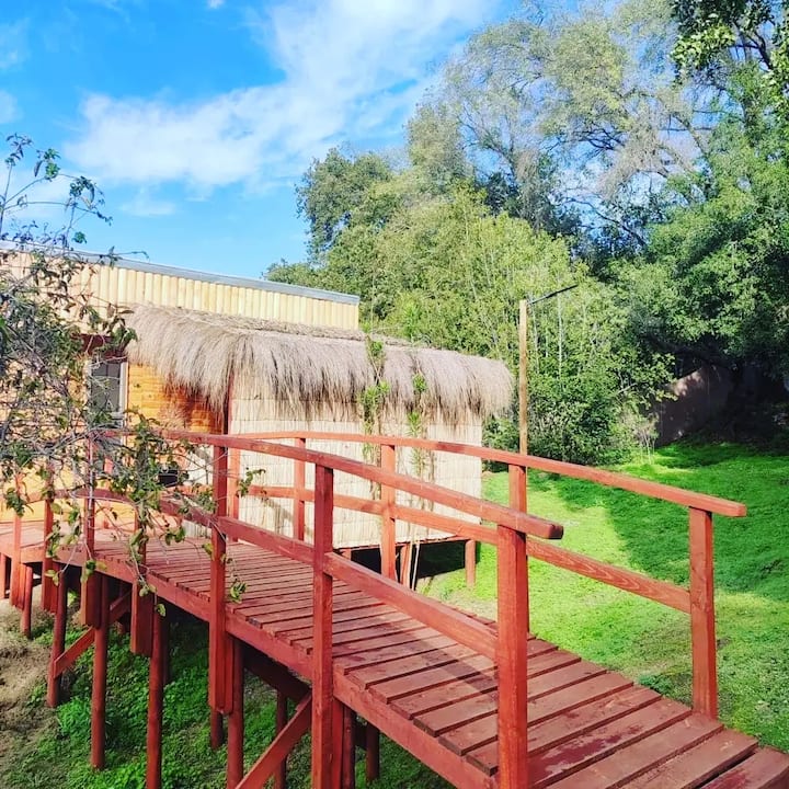 Full Relax & Naturaleza - Villa Alemana