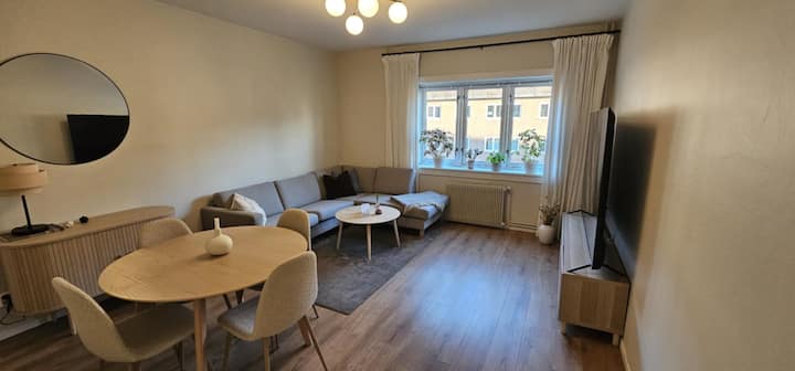 Hyggelig Og Sentral Leilighet - Oslo