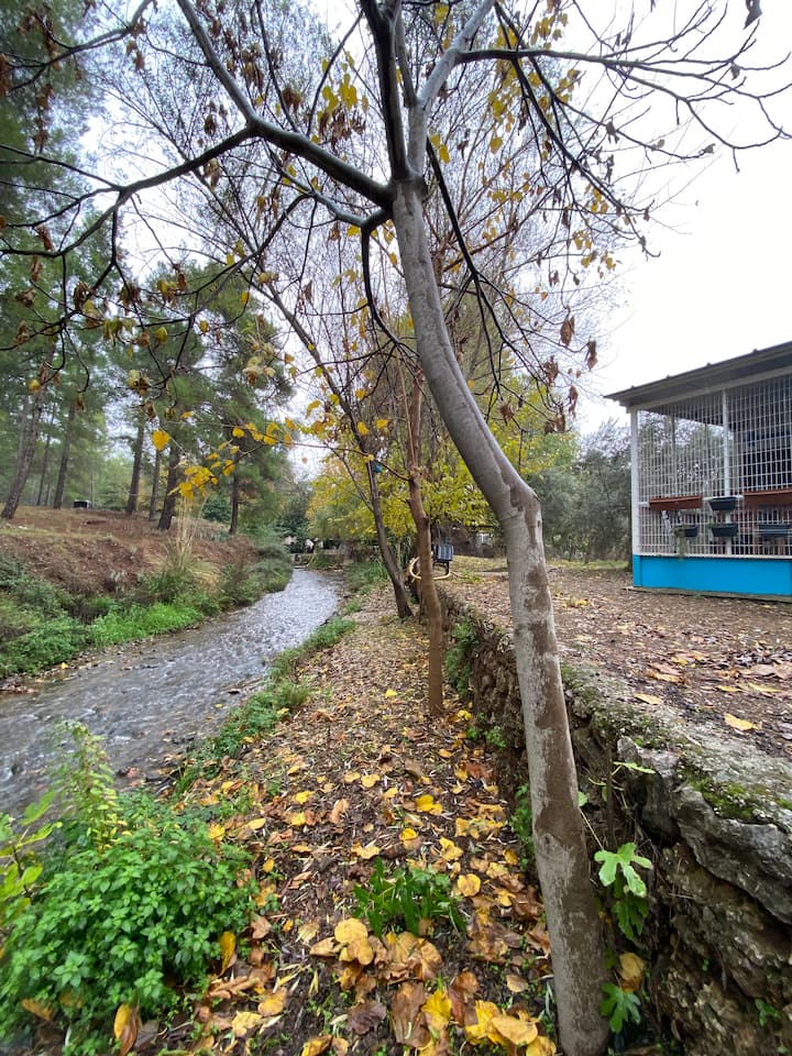 Villa Irmak Fethiye - Ören
