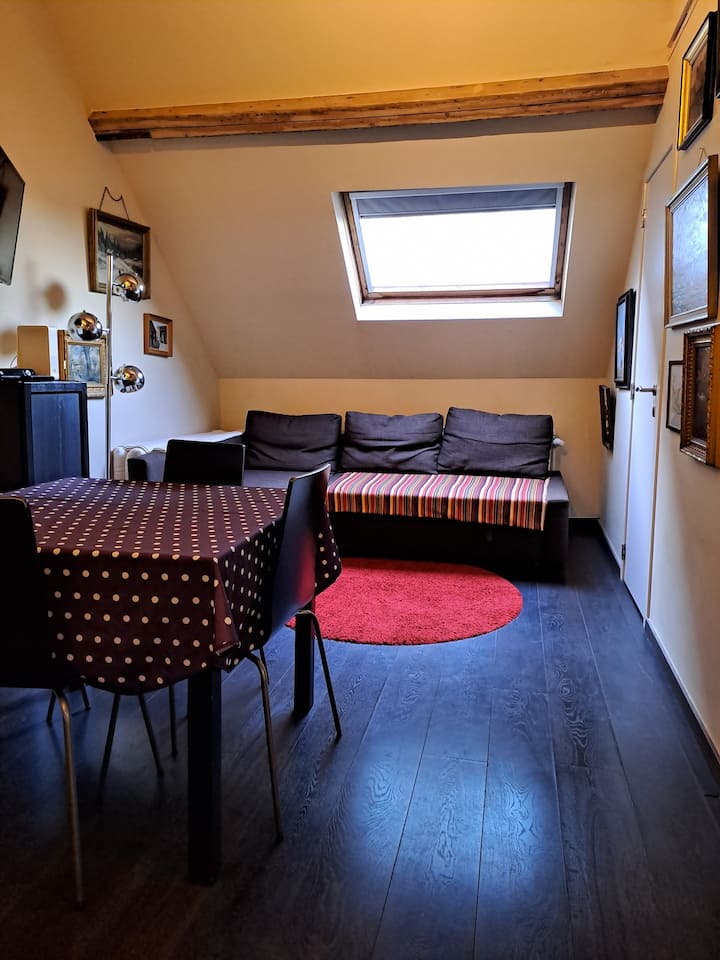 Cosy Central Appartement - Bruxelas