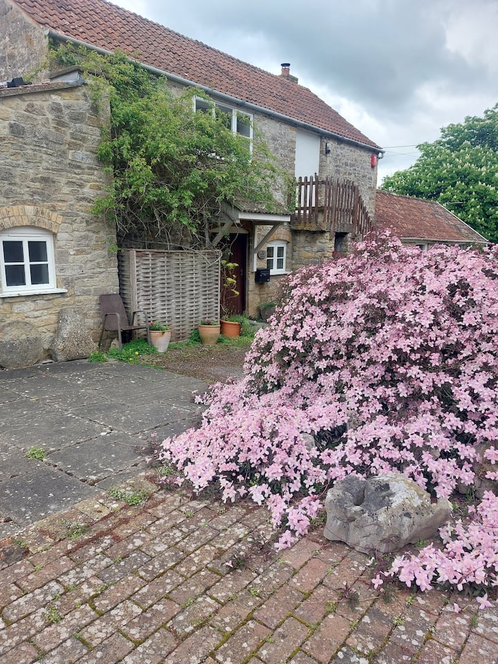 Barn Conversion Apartment - Cheddar