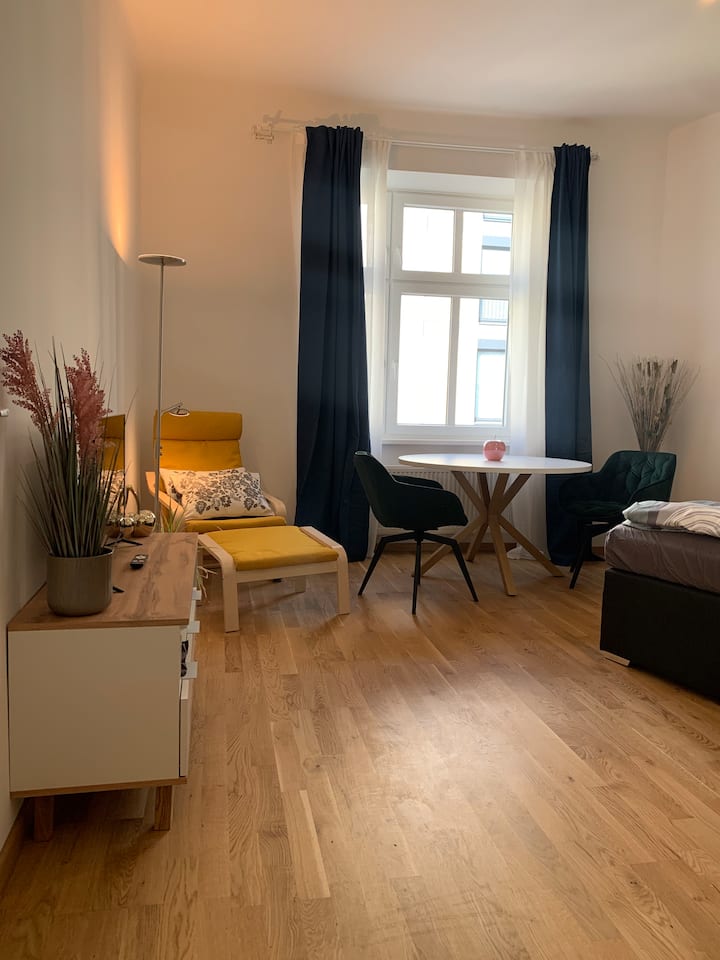 Ideal: Nahe Zentrum Und Prater - U Bahn In 100 M - Vienna