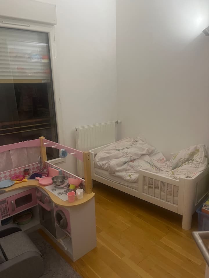 Magnifique Duplex - Villeurbanne