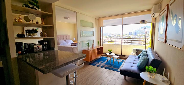 Piso 14, Wifi & A/c, Consulta Por Estacionamiento - Santiago (Chile)