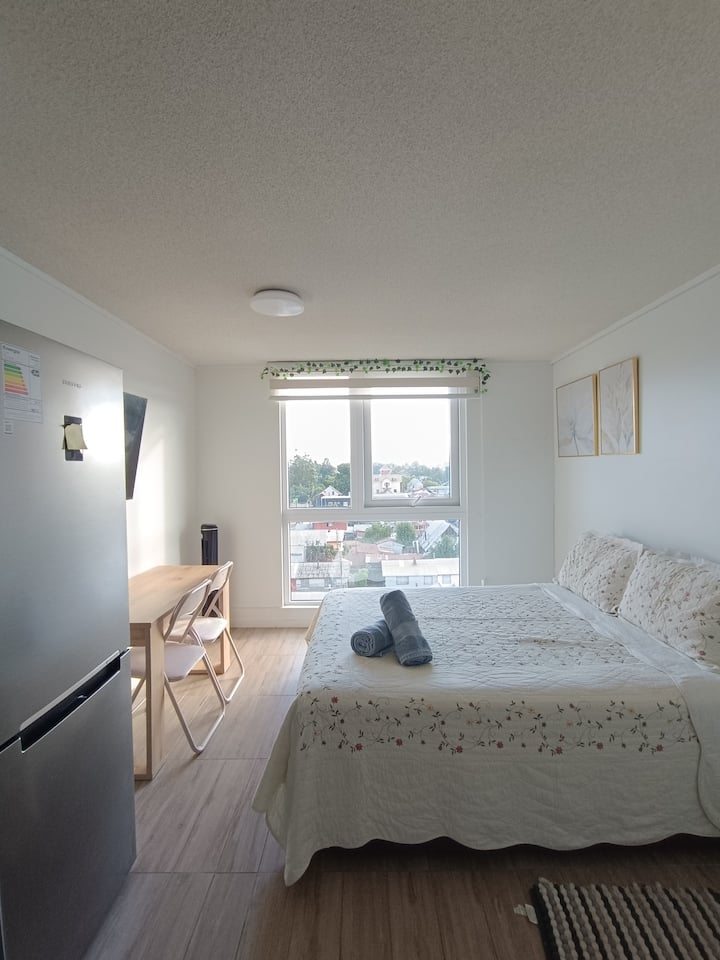 Hermoso Estudio Teja Valdivia - Valdivia