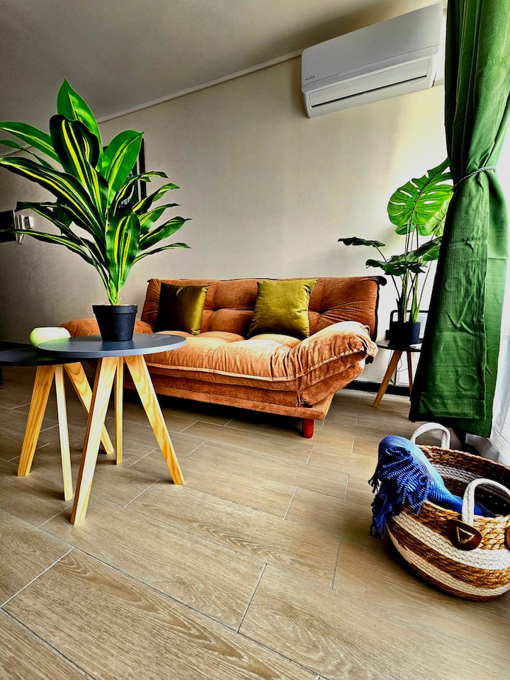 Apartment 2 Steps From Moneda - Santiago