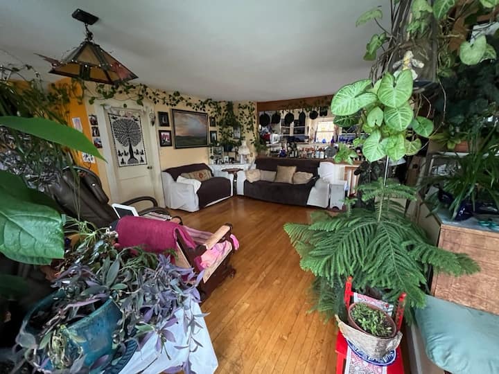 "The Cave" - Sunny Art Home In Woods Near Downtown - Brattleboro, VT