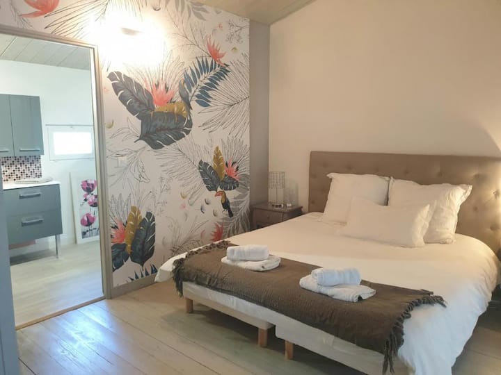 Villa Michèle 1 Chambre - Pézenas