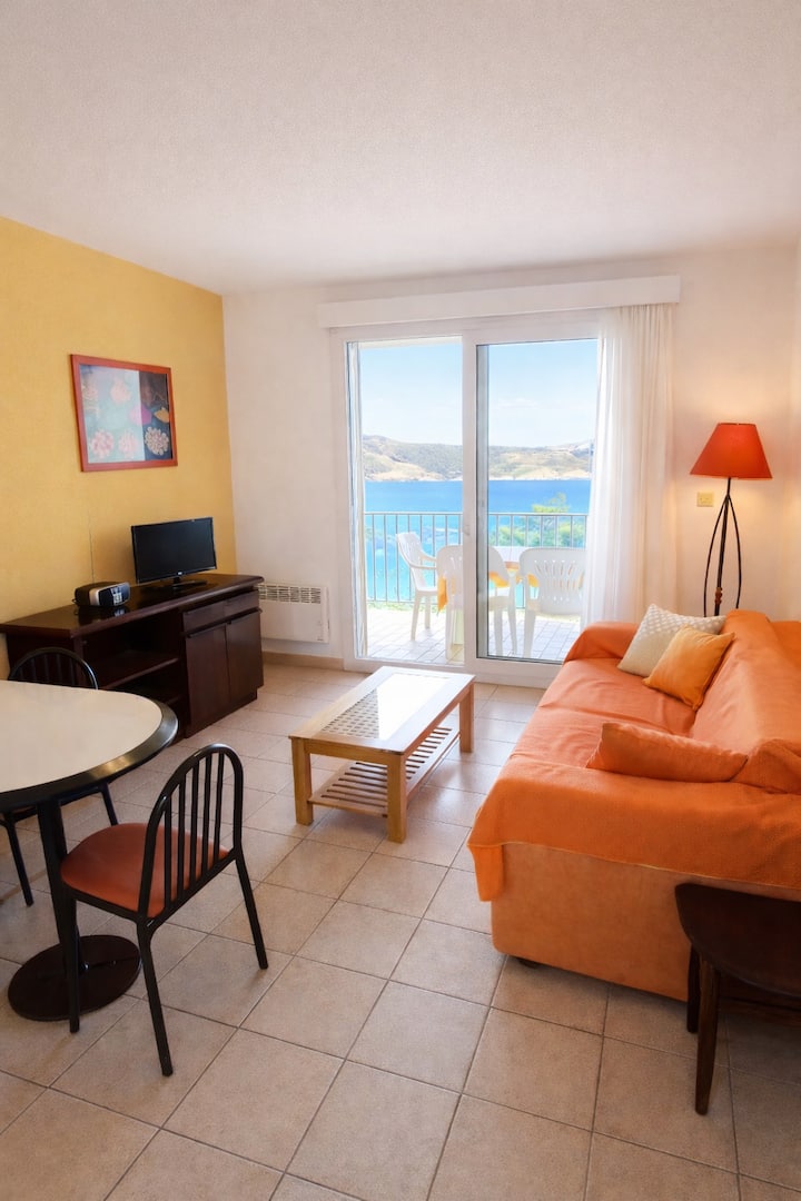 Téthis- T2 Face à La Mer Avec Terrasse Mer/ Clim - Cerbère