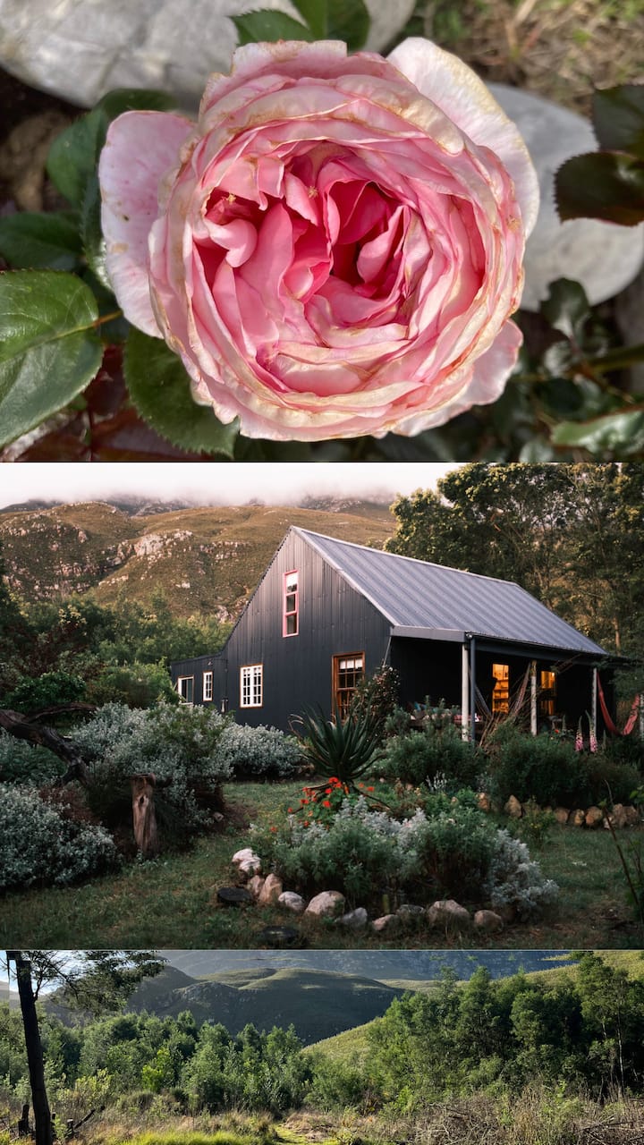 The Mountain Cabin - Greyton