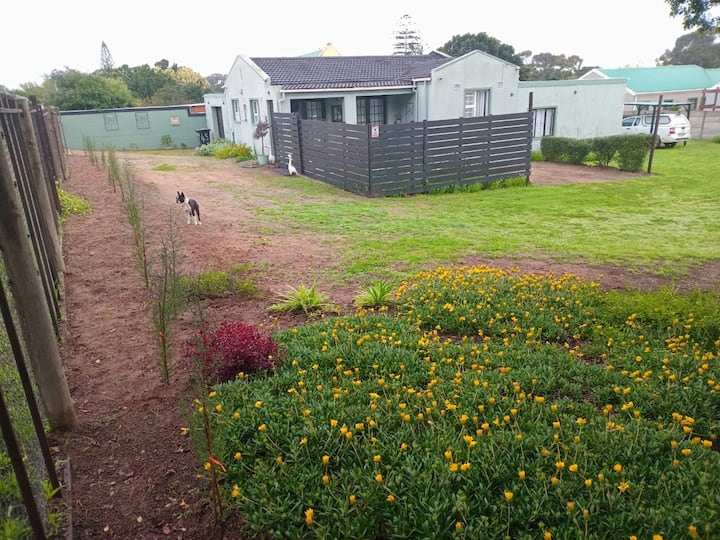 Yellowbird Accommodation - Darling
