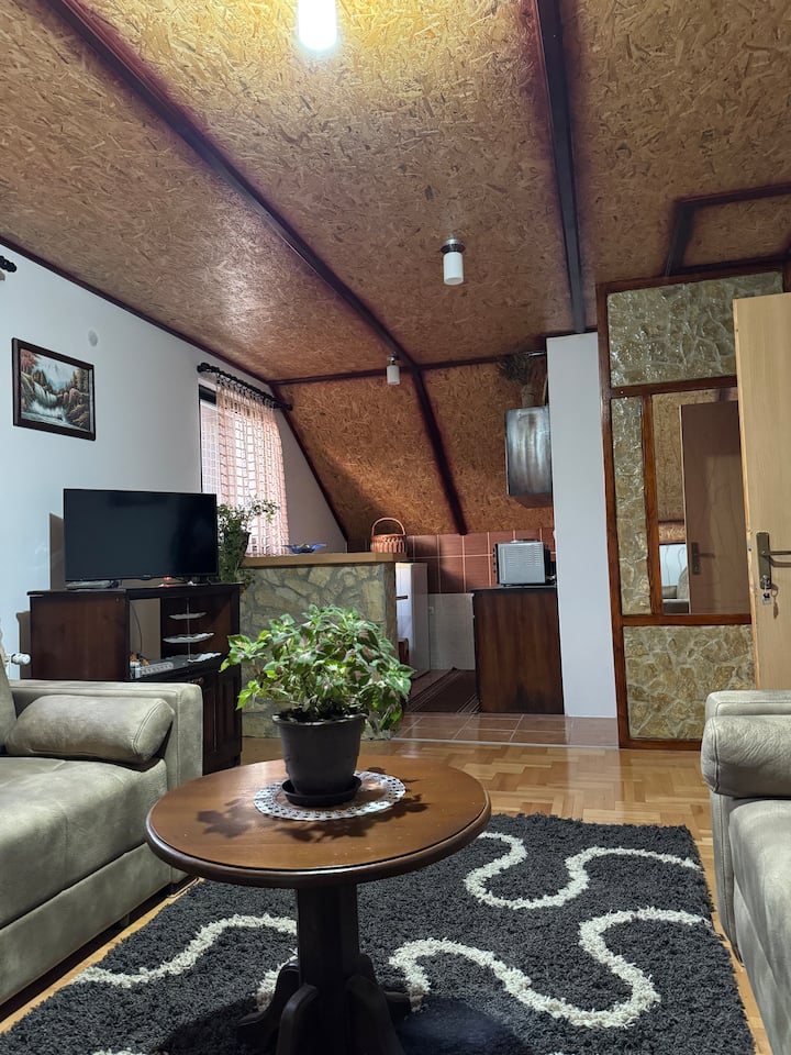 Apartman Jelić 2 - Zlatibor