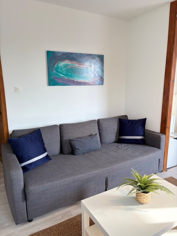 Escapade Familiale, Parking 5 Min Du Centre Ville - Mulhouse