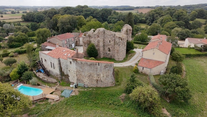 Le Logis Du Vieux Donjon - Les Epesses