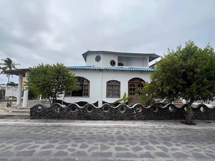 Lobo - Galápagos Islands