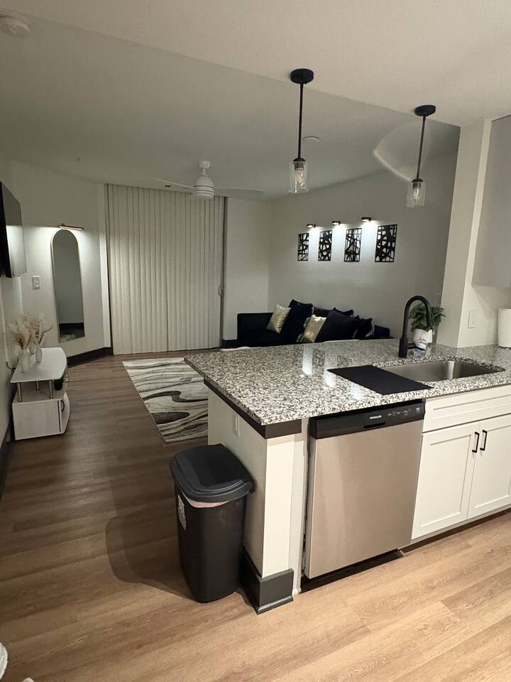 Uptown Charlotte Apartment - Charlotte, NC