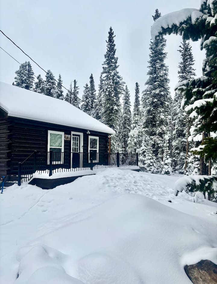 High Pines Log Cabin • 30mi To Ski •35mi To Denver - Georgetown, CO