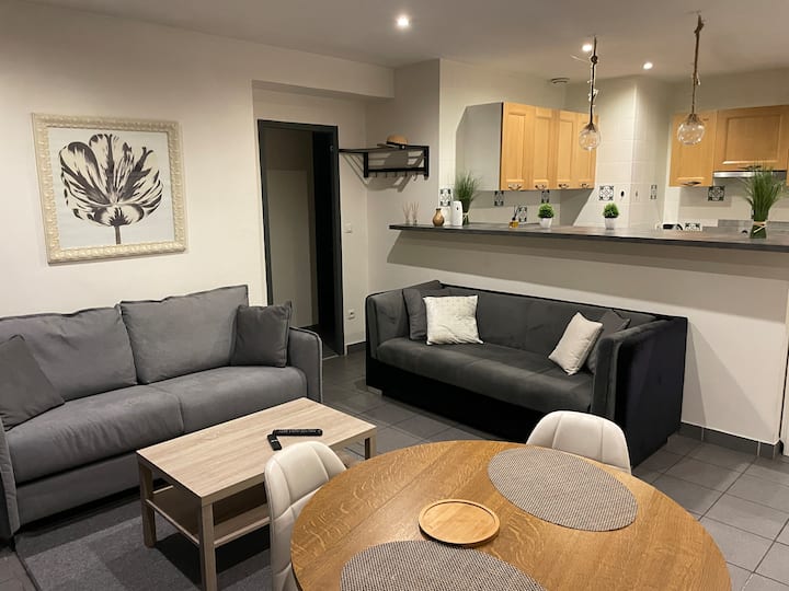 Agréable Appartement Terrasse - Saint-Symphorien-d'Ozon