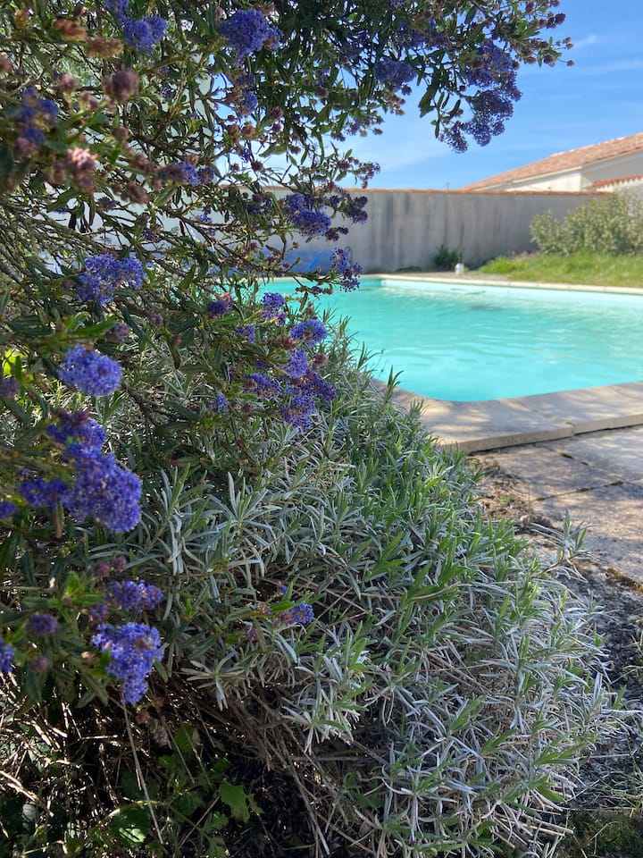 Le 12 - Château de la Roche Courbon