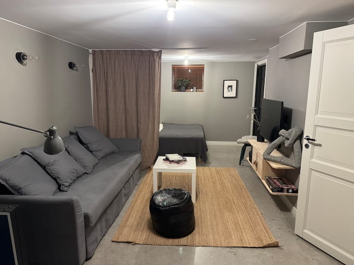 Lägenhet Nära Avicii Arena Och 3arena - Stockholm