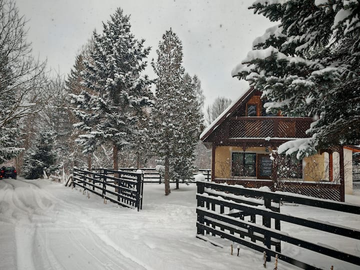 Woodland Escape - Județul Harghita