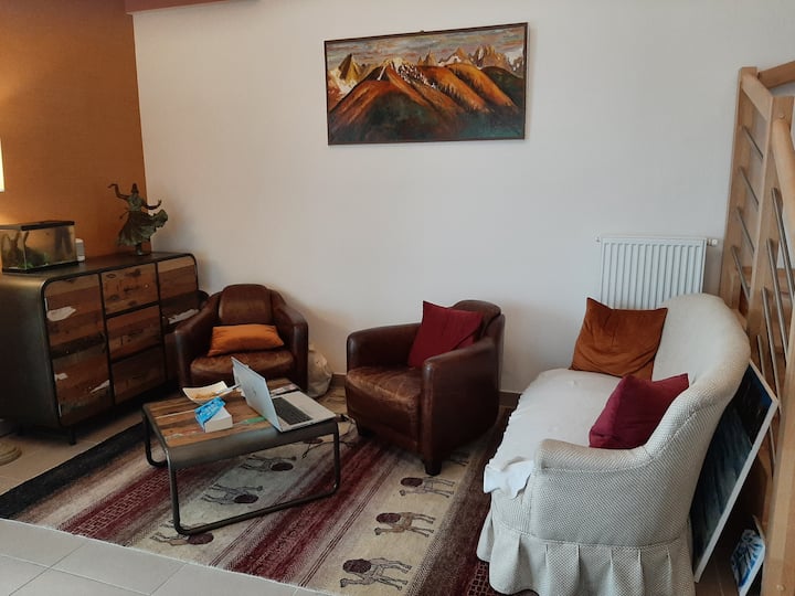 Appartement Panorama Mont Blanc - Ibis Budget Sallanches