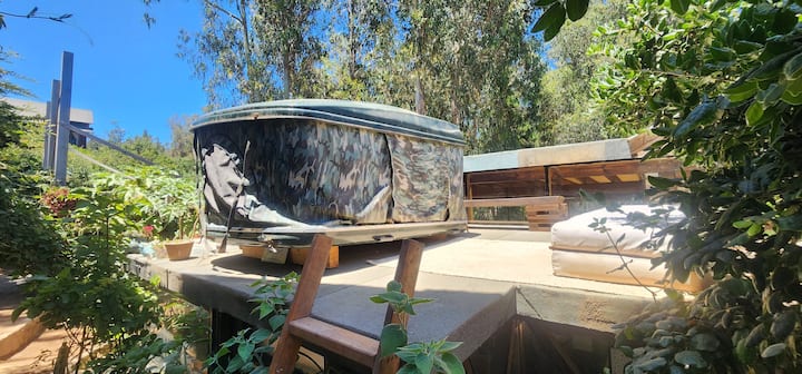 Carpa Jungla Jardín - Pichilemu