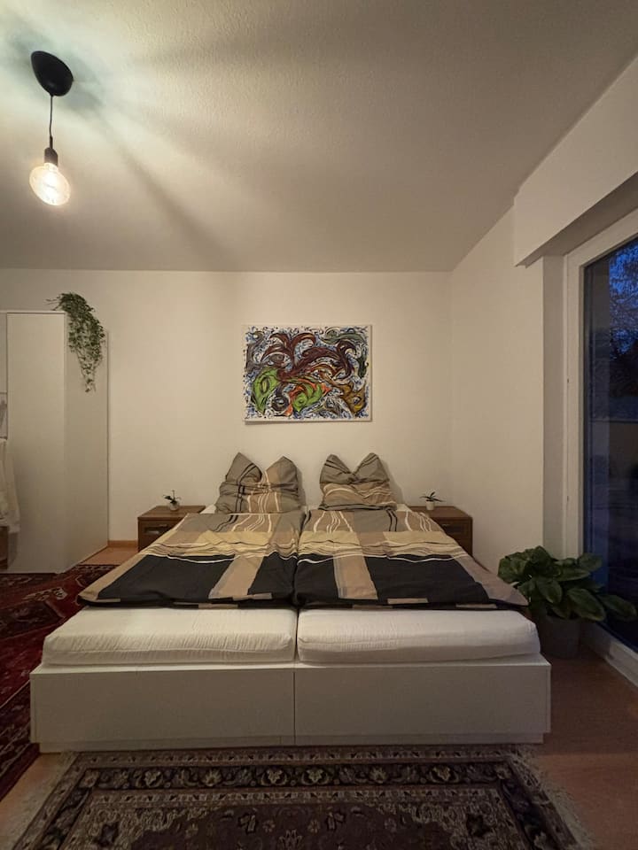 Zentrales Zimmer Mit Balkon - Friburgo in Brisgovia