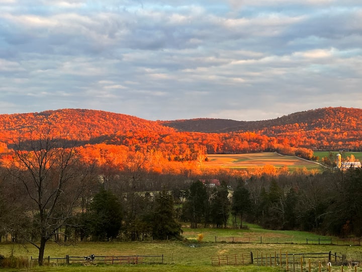 Safe Haven - Gifford Pinchot State Park, Lewisberry