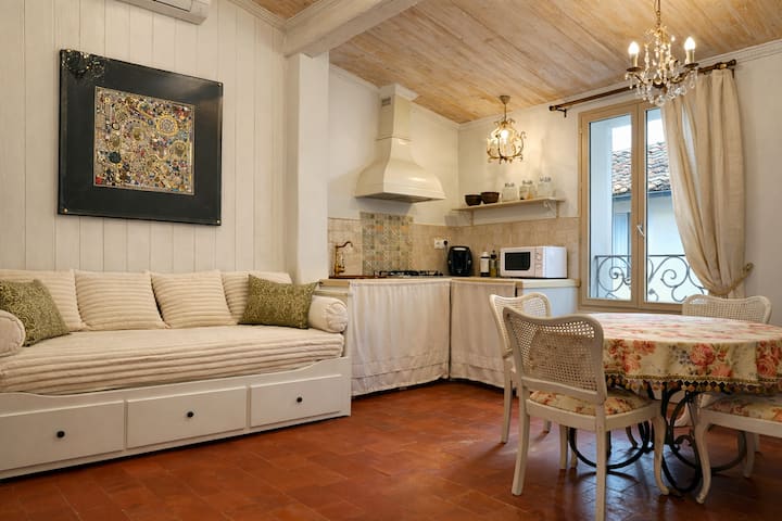 "Le Coeur De L'isle" Clim/wifi/tv/netflix - L'Isle-sur-la-Sorgue