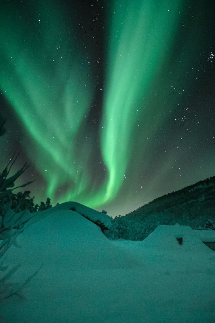 Northern Light Homestay–beste Beliggenhet I Tromsø - Tromsø