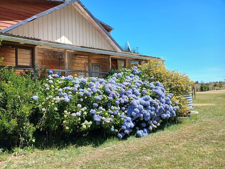 Casita Del Lago Abejita - Frutillar