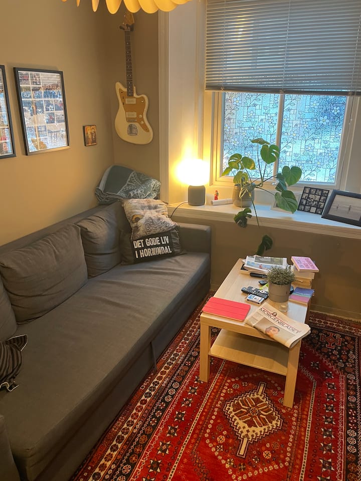 Leilighet Midt I Bergen Sentrum - Bergen