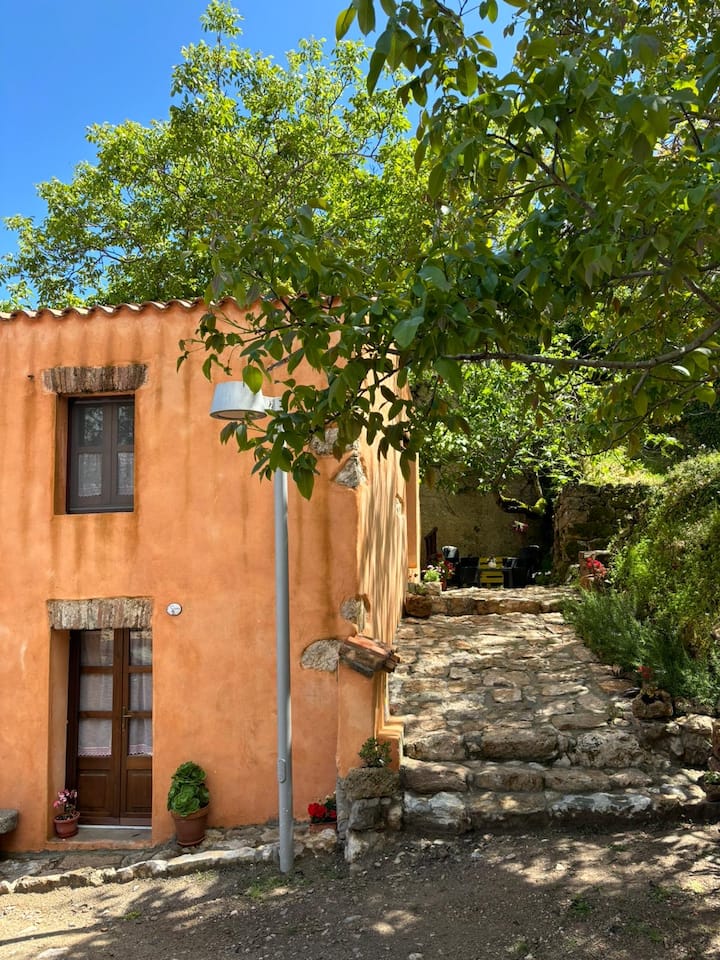 Osini Ecciu Home - Osini