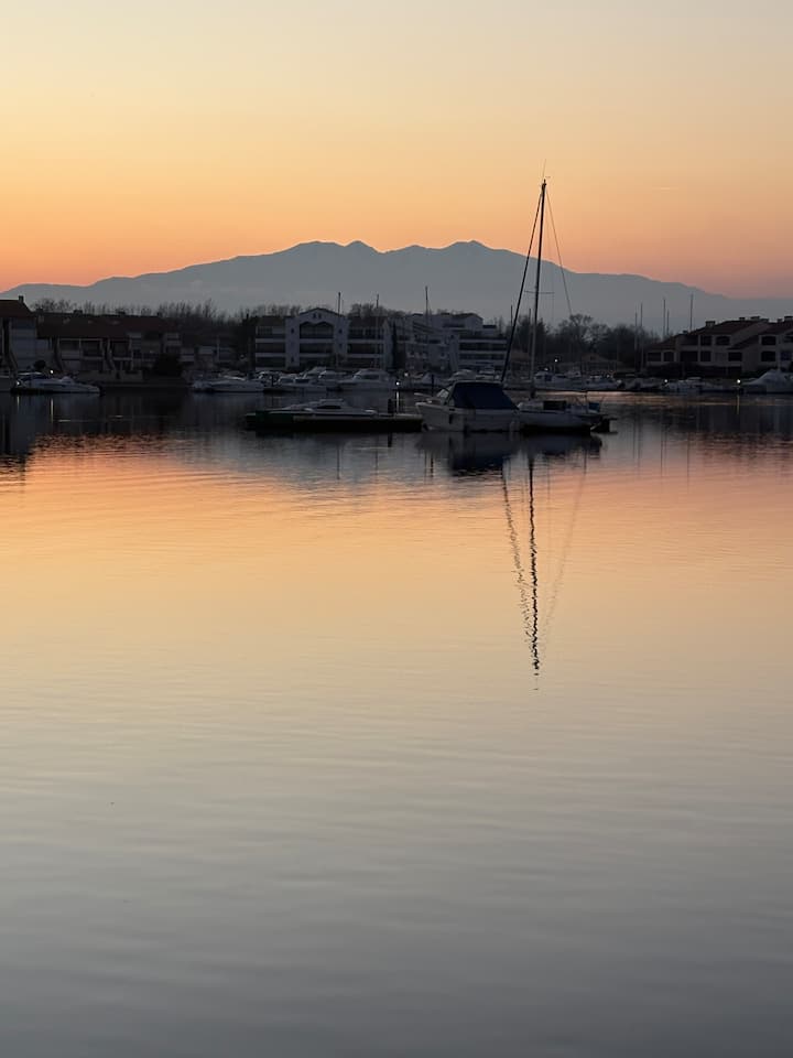 Charmant Studio 50m De La Plage - Saint-Cyprien