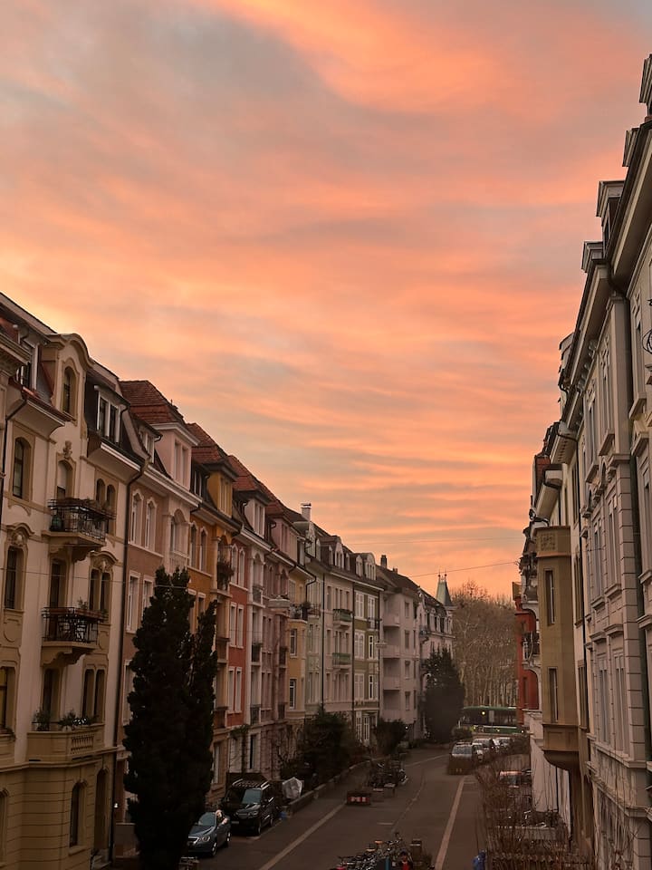 Vintage City Apartment - Bâle