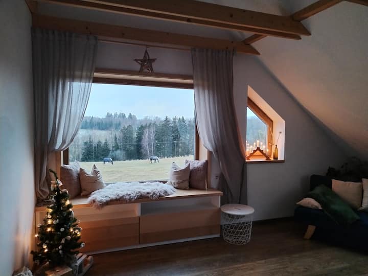 Apartmán Schwaderbach - Klingenthal