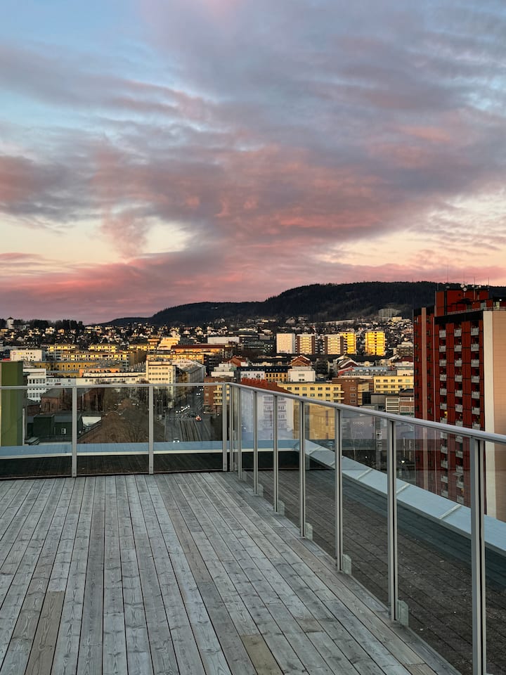 Sentral Og Moderne Leilighet - Oslo