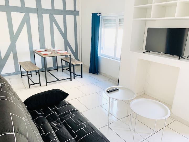 Le Cocoon Ii - Proche Troyes - Troyes