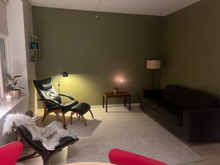 Sentralt Og Fredelig I ÅLesund - Alesund
