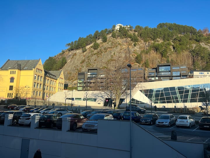 Sentralt Og Fredelig I ÅLesund - Alesund