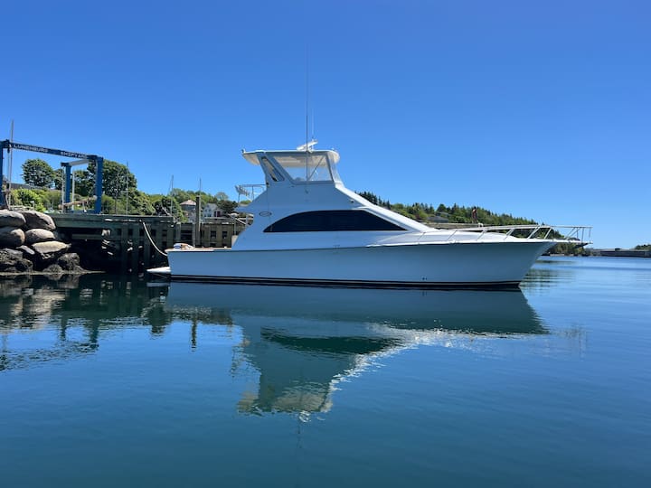 Yacht In Lunenburg Harbour - Lunenburg