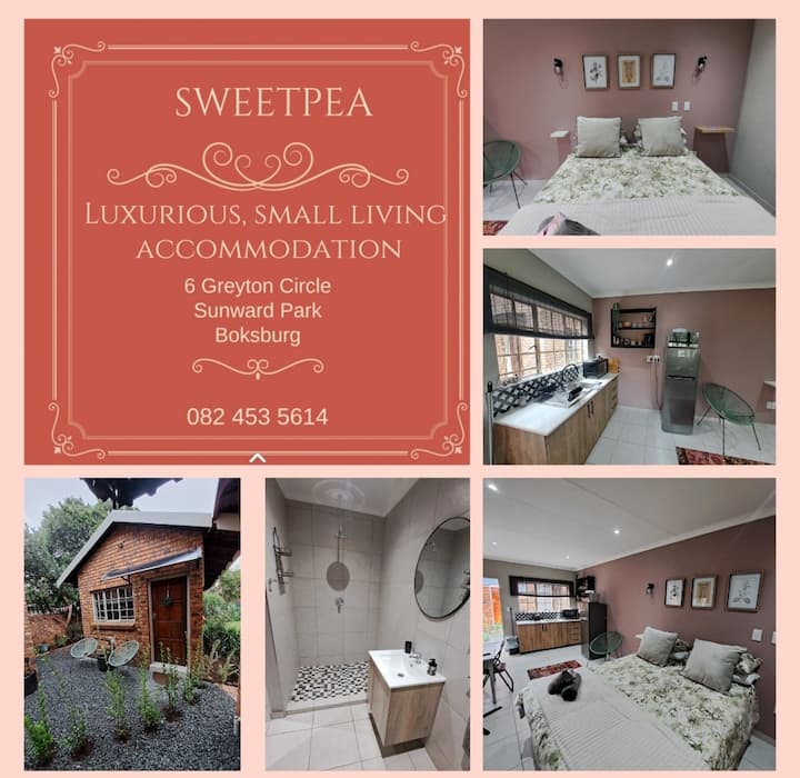 Sweetpea, Love & Warmth. - Brakpan