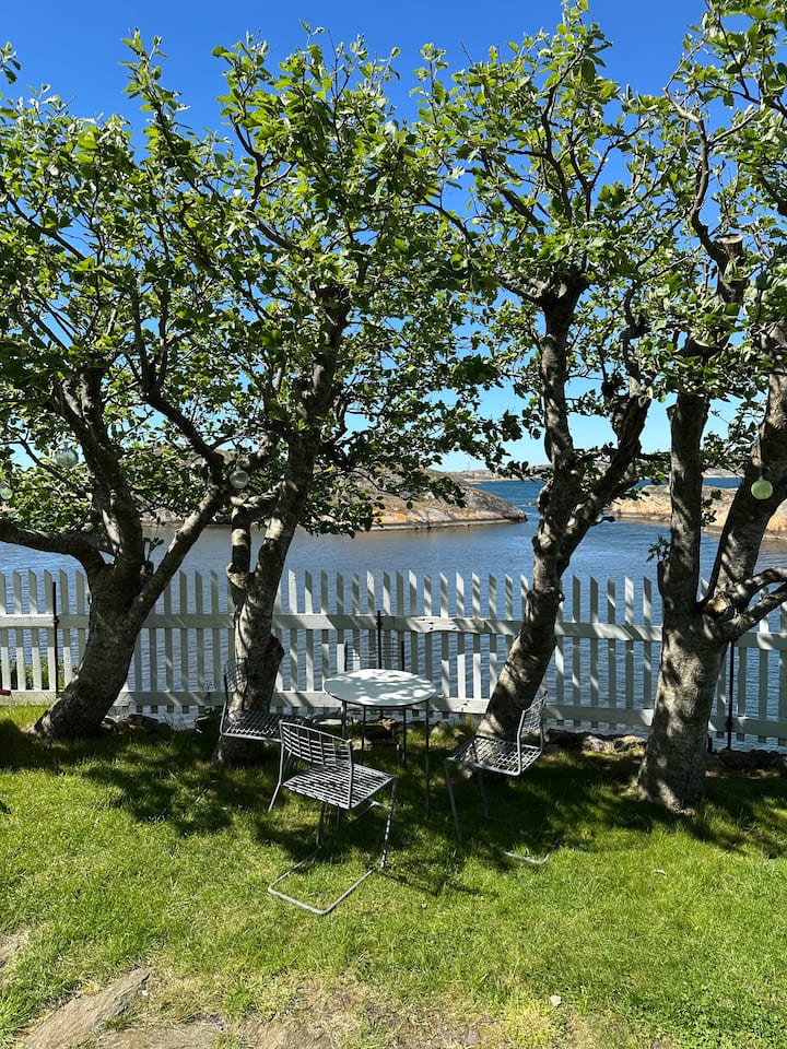 Bo I Havet
Med Naturen In På Knuten - Tjörn