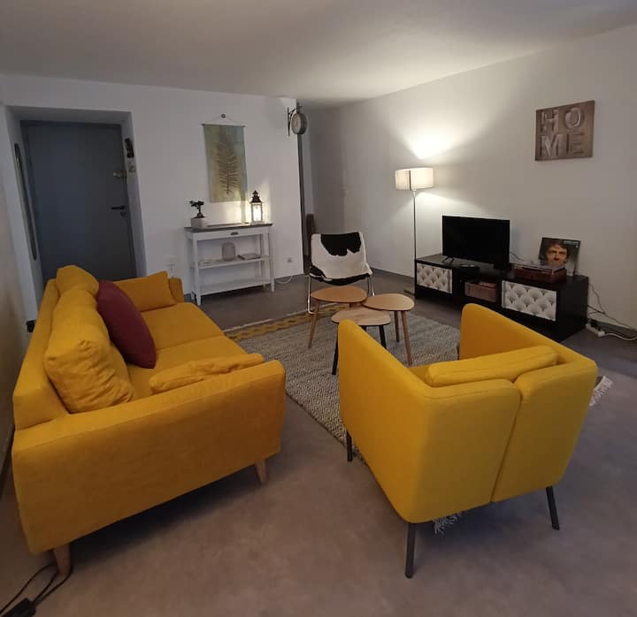 Bel Appartement Hyper Centre - Saint-Paul-lès-Dax