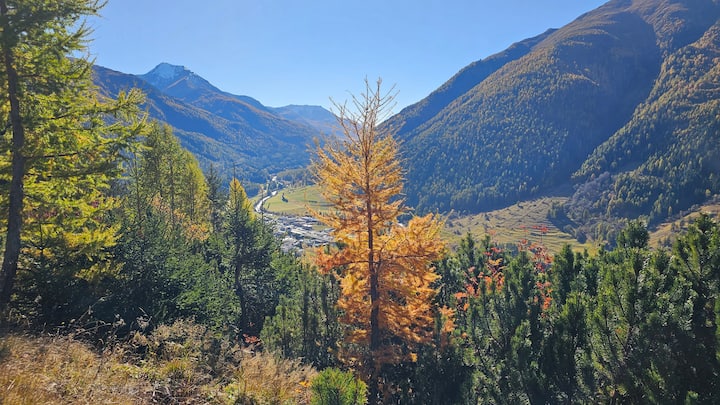 Gemütliche & Grosse Engadin‑wohnung - Mit Kamin - Guarda