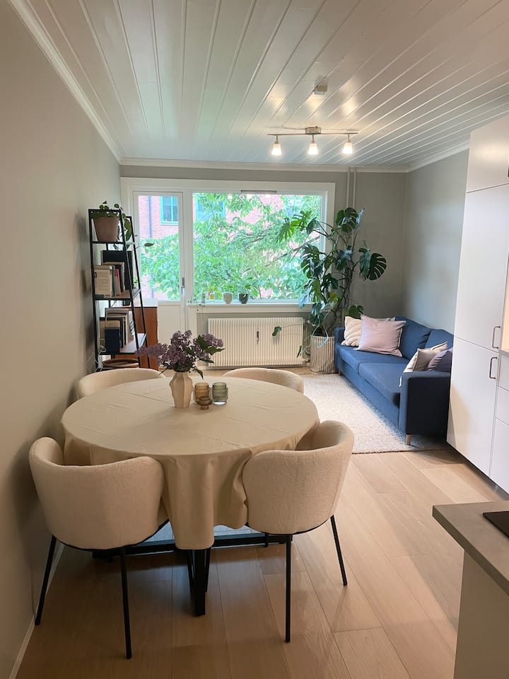 Moderne Leilighet På Populære Vålerenga - Oslo