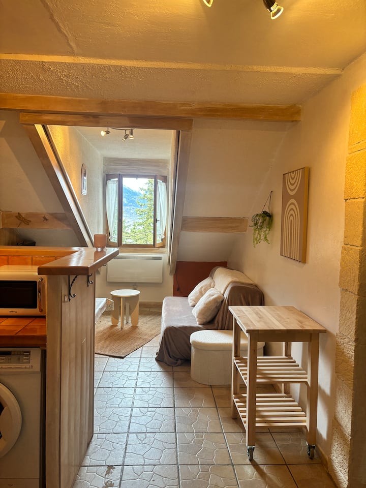 Appartement Au Pied Des Pistes - Chaillol 1600